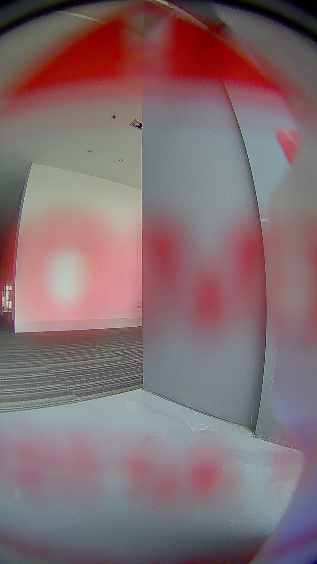 CN - Camera - 861459071106476 - Report的详细数据